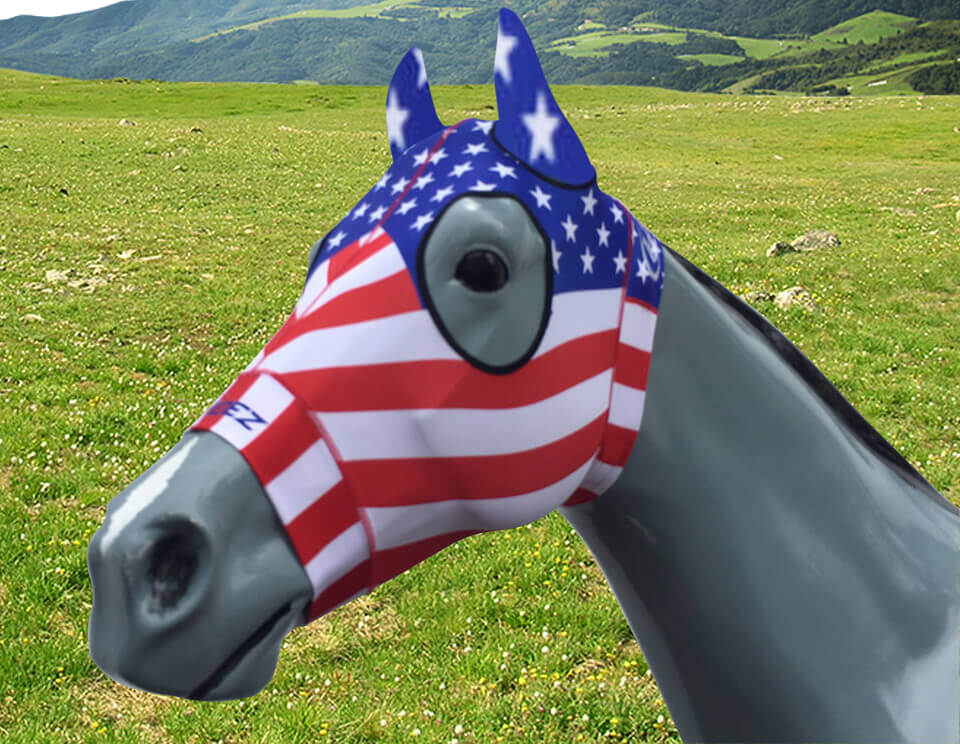 USA.jpg USA.jpg